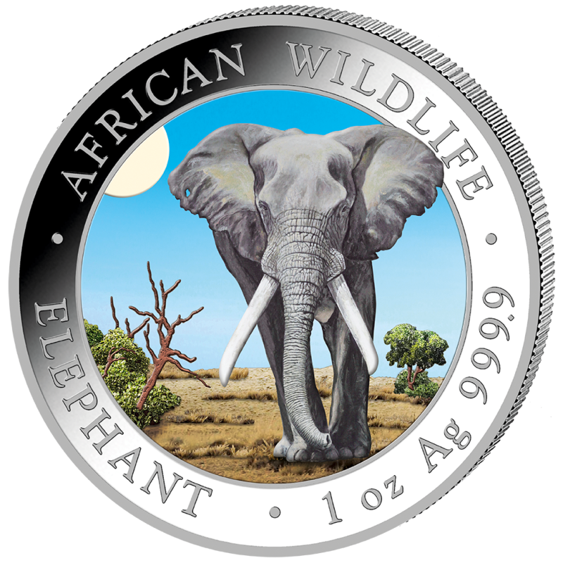 Silber Somali Elefant Münze 2025 Farbe, 1 oz.