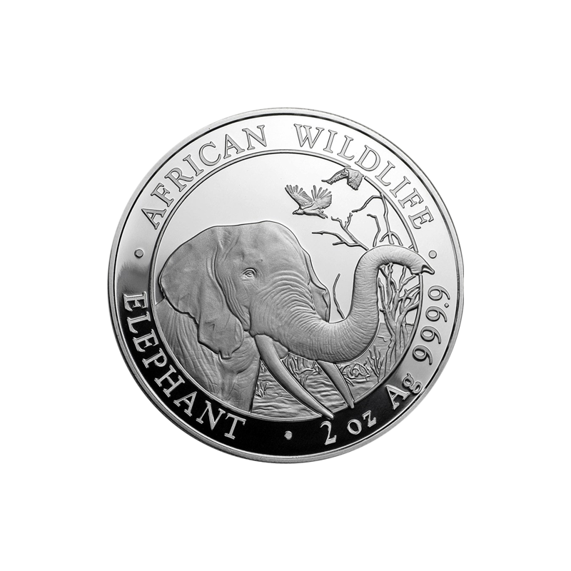 2018 Somali Elephant Silver Coin, 2 oz.