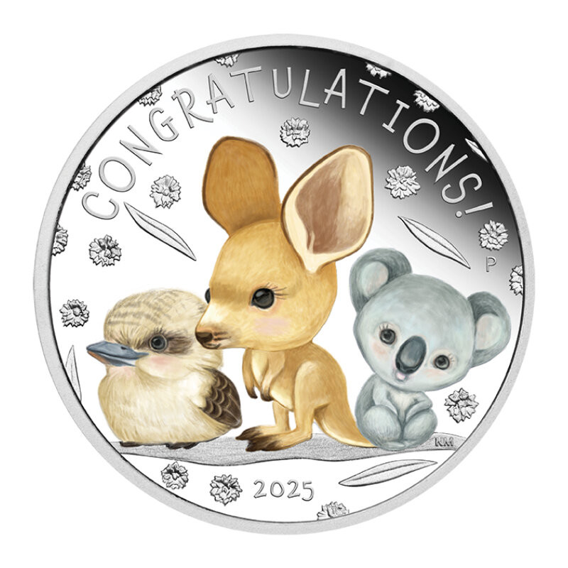 Silver Newborn Baby 2025 Proof Coin, 1/2 oz.