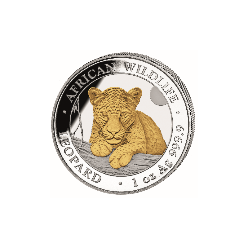 Srebrna Moneta: African Wildlife: Leopard 2025 Gilded, 1 uncja