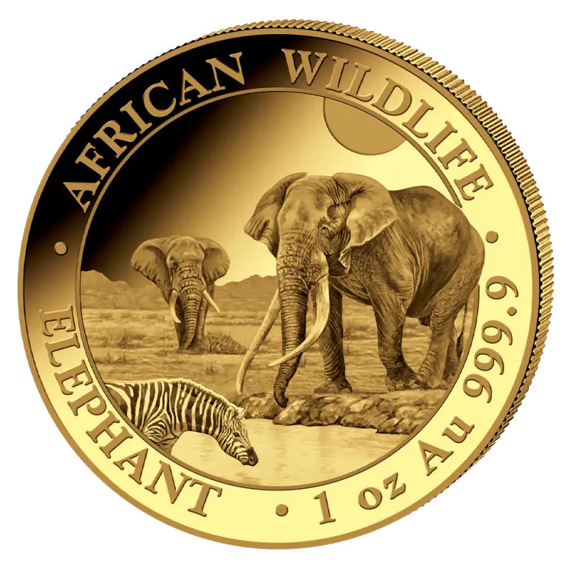 Gold Coin Somali Elephant 2026, 1 Ounce