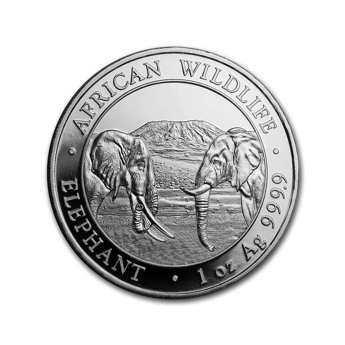 2020 Somali Elephant Silver Coin, 1 oz.